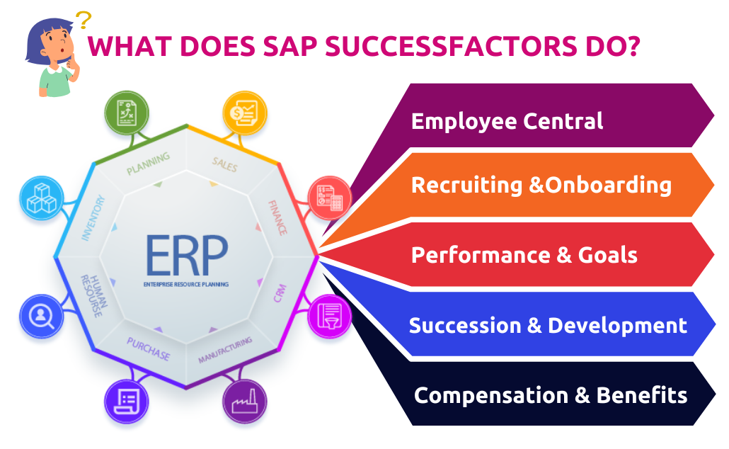 Key Modules and Features in SAP SuccessFactors