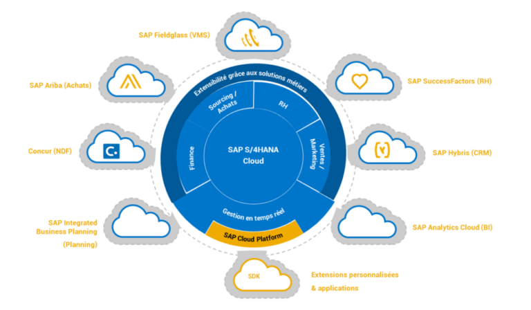SAP S/4HANA Cloud Migration: What You Must Know
