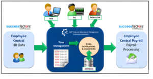 Achieving Business Efficiency via SAP Time Management