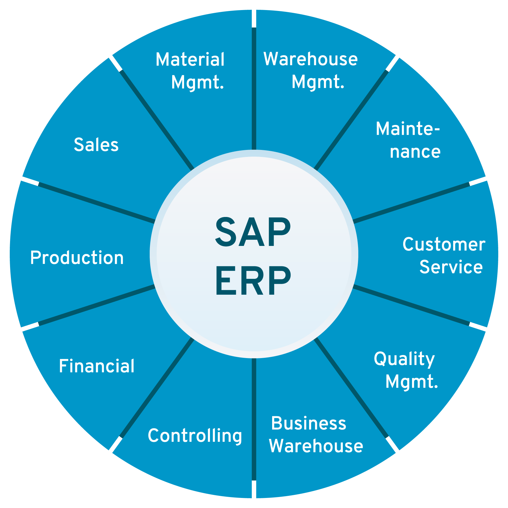 SAP ERP for Accounting: Automate and Optimize